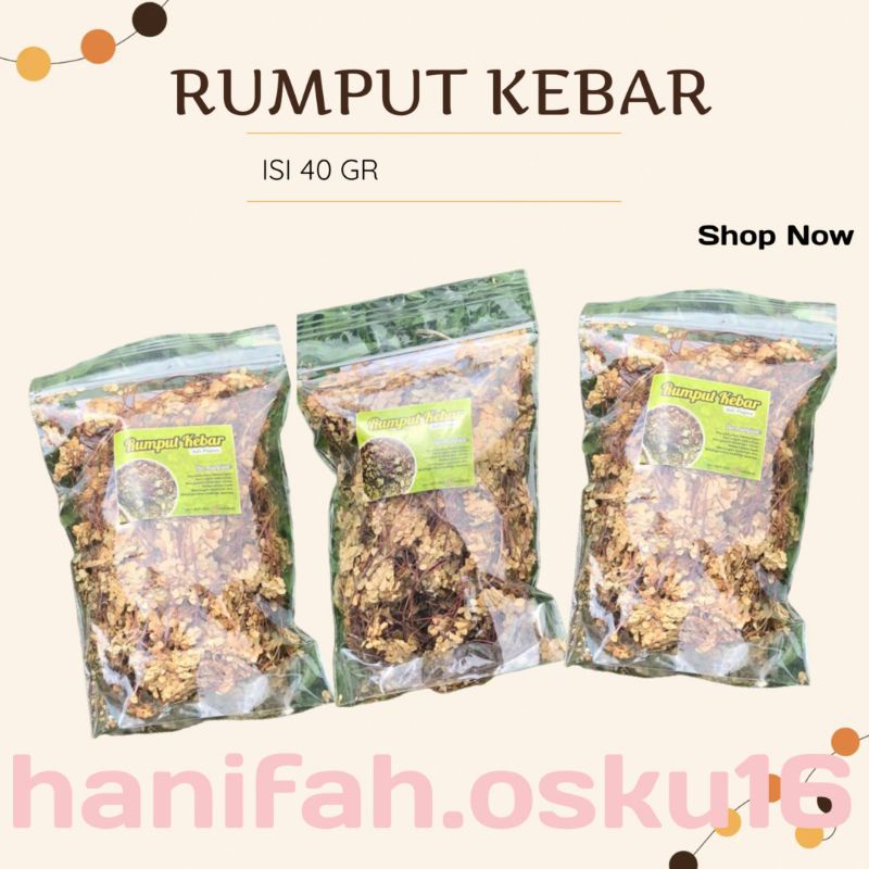 Jual RUMPUT KEBAR | Shopee Indonesia