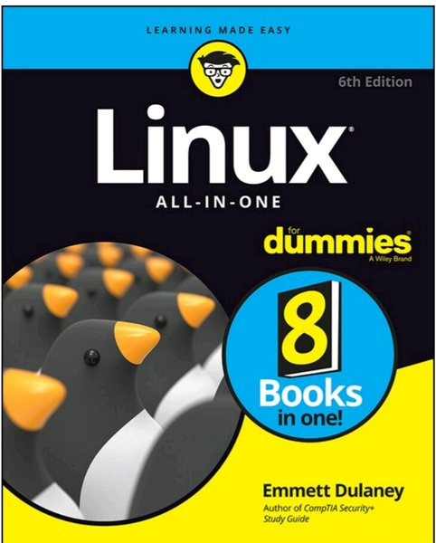 Jual Buku - linux all in one for dummies 8 books in one | Shopee Indonesia