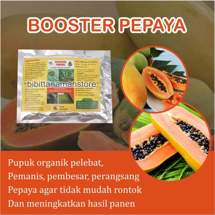 Jual Pupuk Organik Pelebat Buah dan Booster Pepaya Cepat Berbuah Lebat Kekinian | Shopee Indonesia