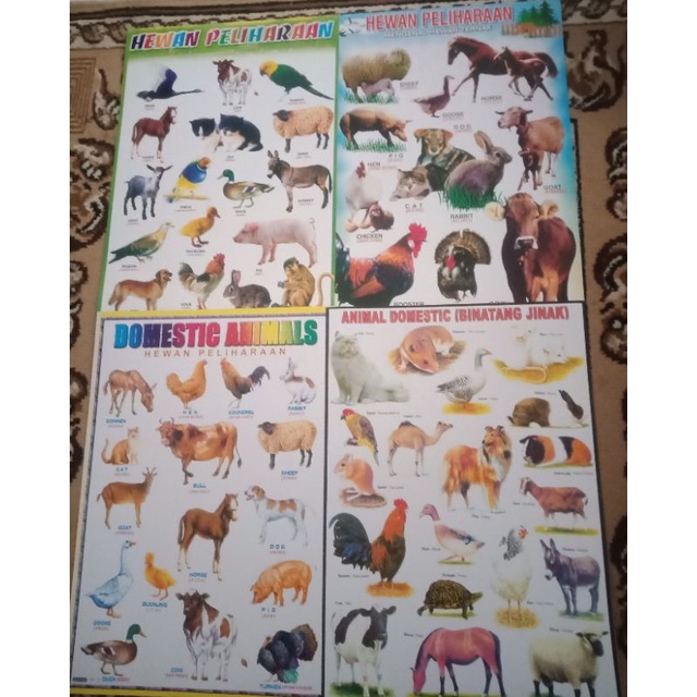 Jual READY POSTER EDUKASI ANAK BELAJAR MENGEJA ABC HURUF TEGAK ALAT ...