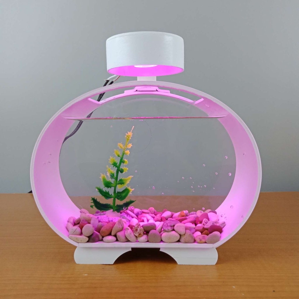 Jual Aquarium Ikan Cupang Soliter Akrilik Ikan Cupang Aquarium Akrilik ...