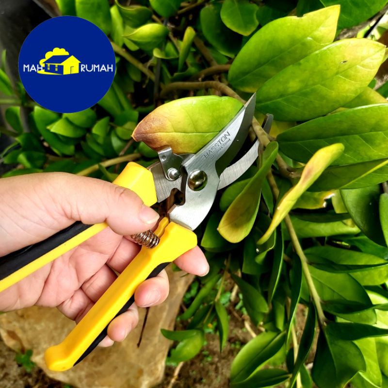 Jual Gunting Dahan Bunga Ranting Tanaman Bonsai 8" 8inch Stainless ...