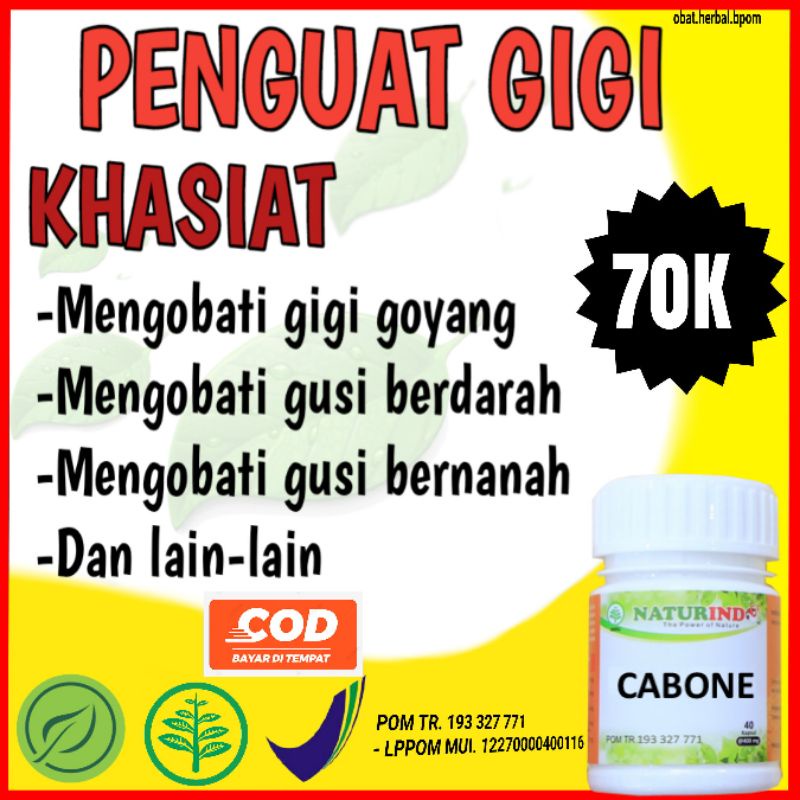 Jual OHB penguat gigi gigi goyang berlubang gigi bernanah berdarah gusi ...