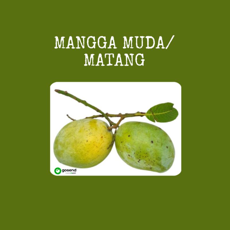 Jual MANGGA MUDA/RUJAK FRES BANDUNG 500gram | Shopee Indonesia