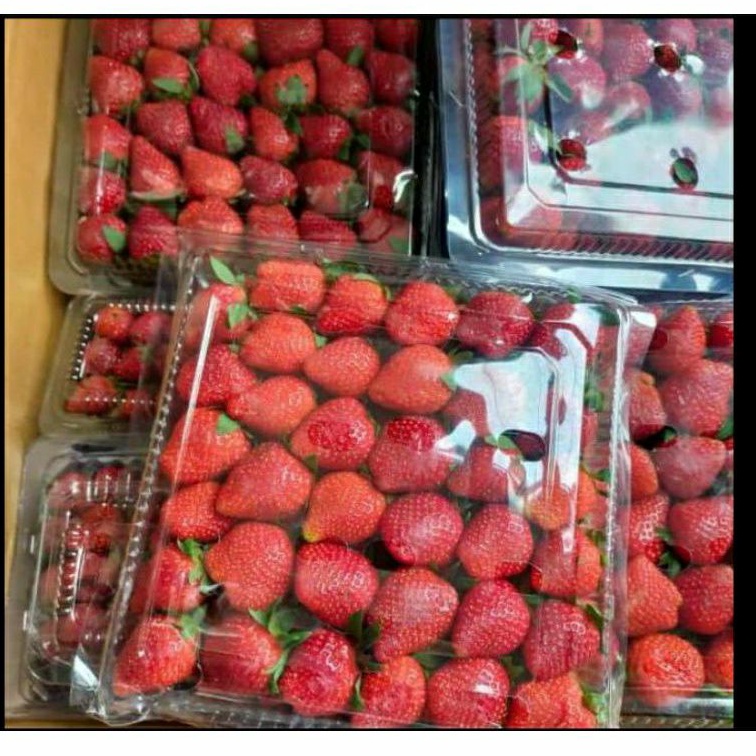 Jual Strawberry 1 kg | Shopee Indonesia