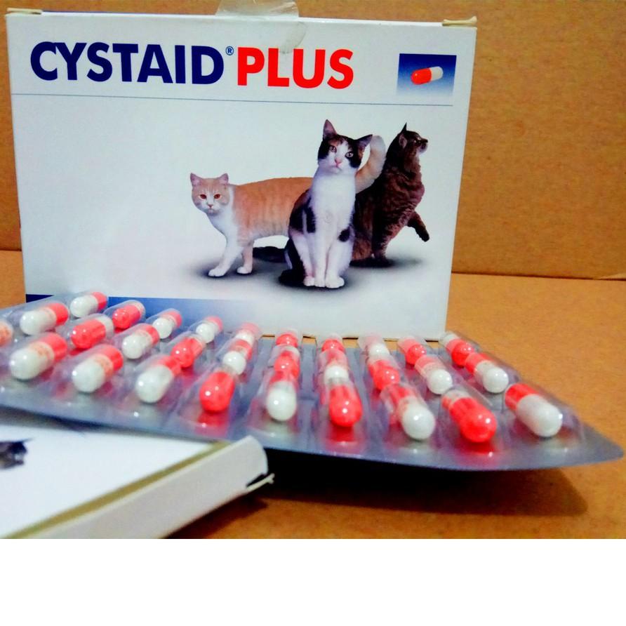 Jual T77【 CYSTAID PLUS harga Per kapsul ( Obat Untuk Masalah Saluran ...