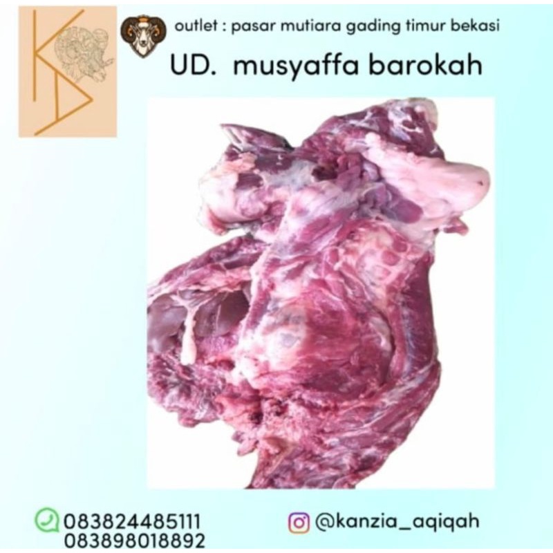 Jual daging kambing segar | Shopee Indonesia