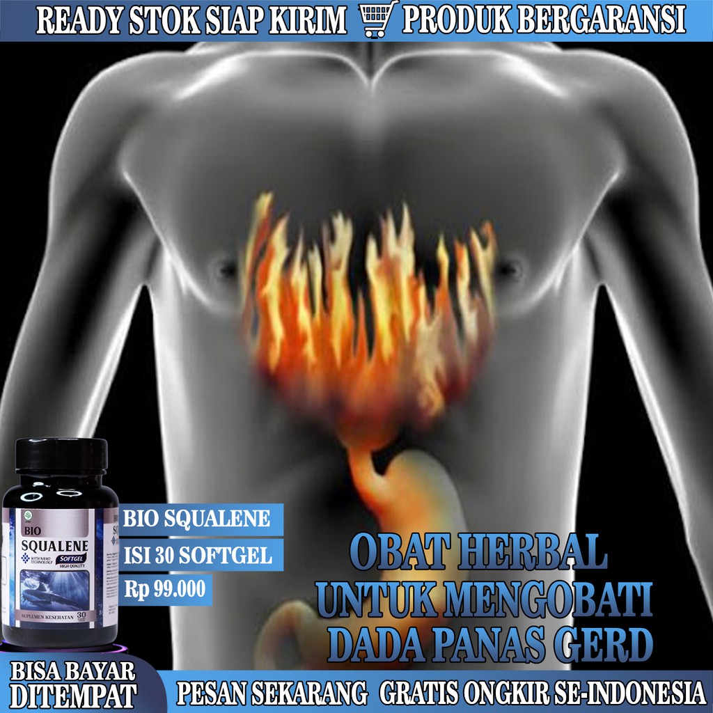 Jual Obat Dada Panas Gerd, Obat Sakit Dada Panas, Obat Asam Lambung ...