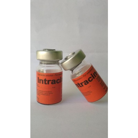 Jual intracin 10s hormon kontraksi uterus kelinci,kucing,sapi dll ...