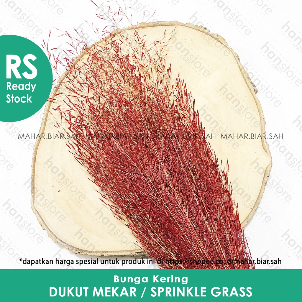 Jual RS 2 Gr Bunga Kering Dukut Mekar / Sprinkle grass | Shopee Indonesia
