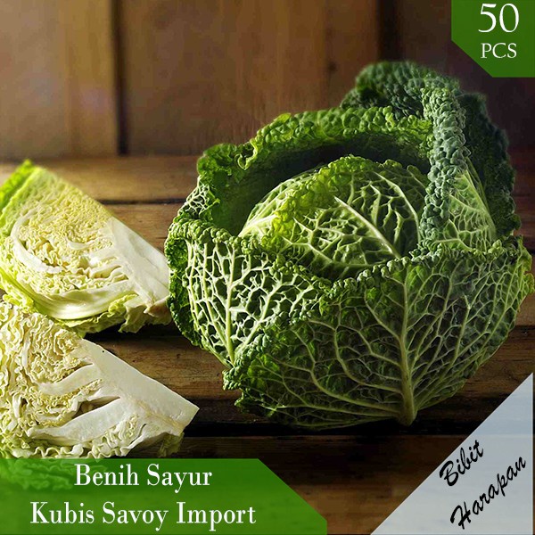 Jual Benih Bibit Biji Sayuran Kubis Savoy Sayur Import | Shopee Indonesia