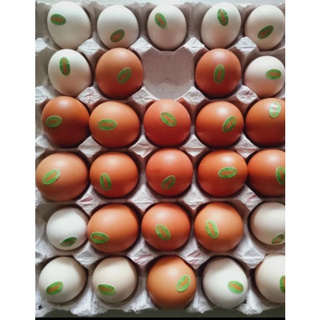 Jual Telur paket cinta (16 butir telur negri OMEGA + 13 butir telur ...