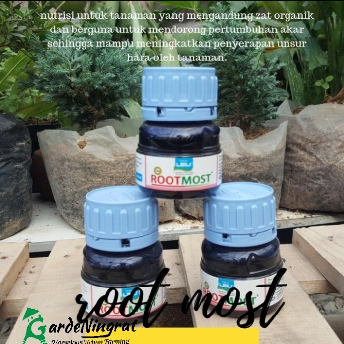 Jual Rootmost Obat Akar Hormon Pertumbuhan Vegetatif Stek Tanaman 100mL | Shopee Indonesia