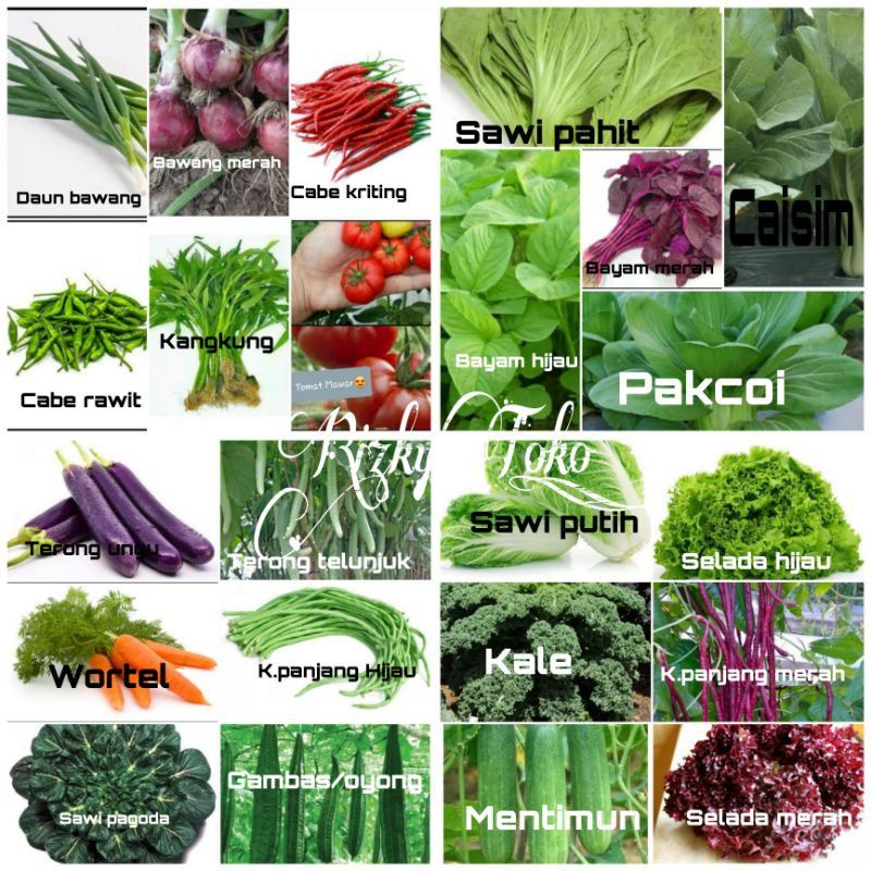Jual PAKET HEMAT 35 JENIS Benih Sayuran Unggul Mudah Tumbuh | Shopee ...