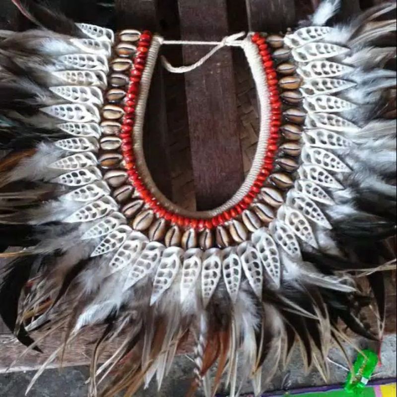 Jual ETNIC PAPUA SHELLS 30cm | Shopee Indonesia