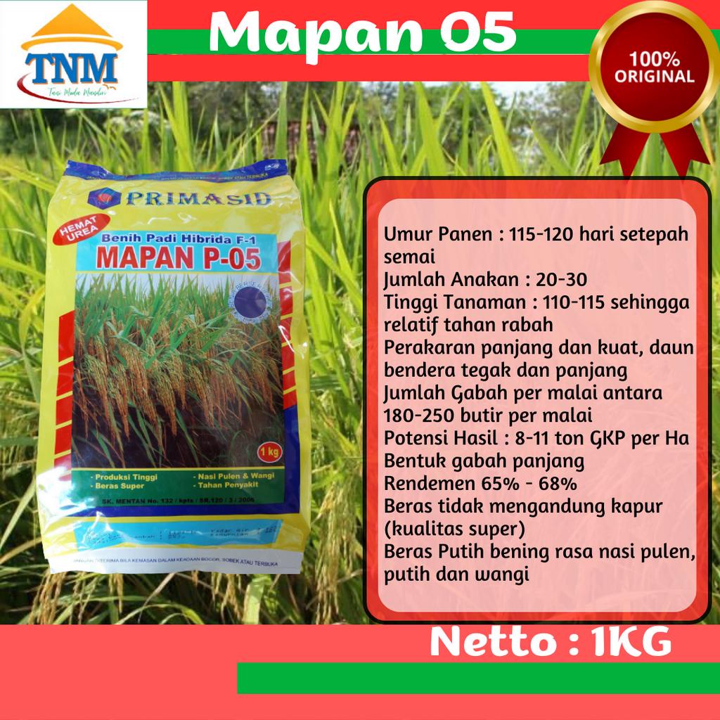 Jual Biji Padi Mapan 05 Bibit Unggul 1kg | Shopee Indonesia
