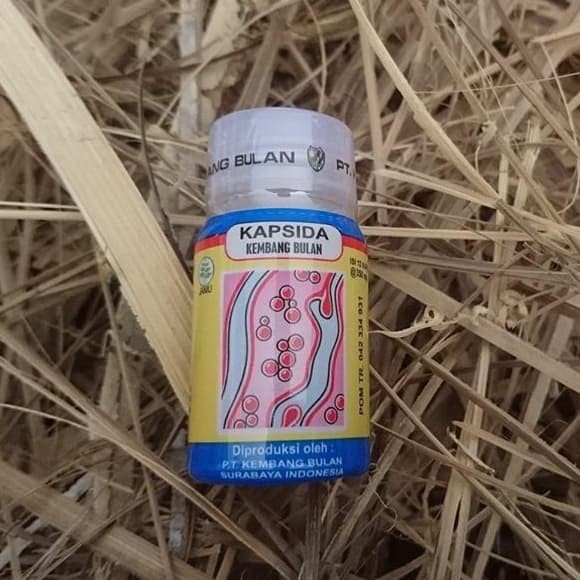 Jual KAPSIDA Bersih Darah Kembang Bulan Kapsul Obat Herbal Tradisional ...