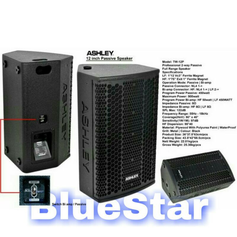 Jual Speaker Pasif Ashley TW 12P Original Passive TW12P - 12 inch ...