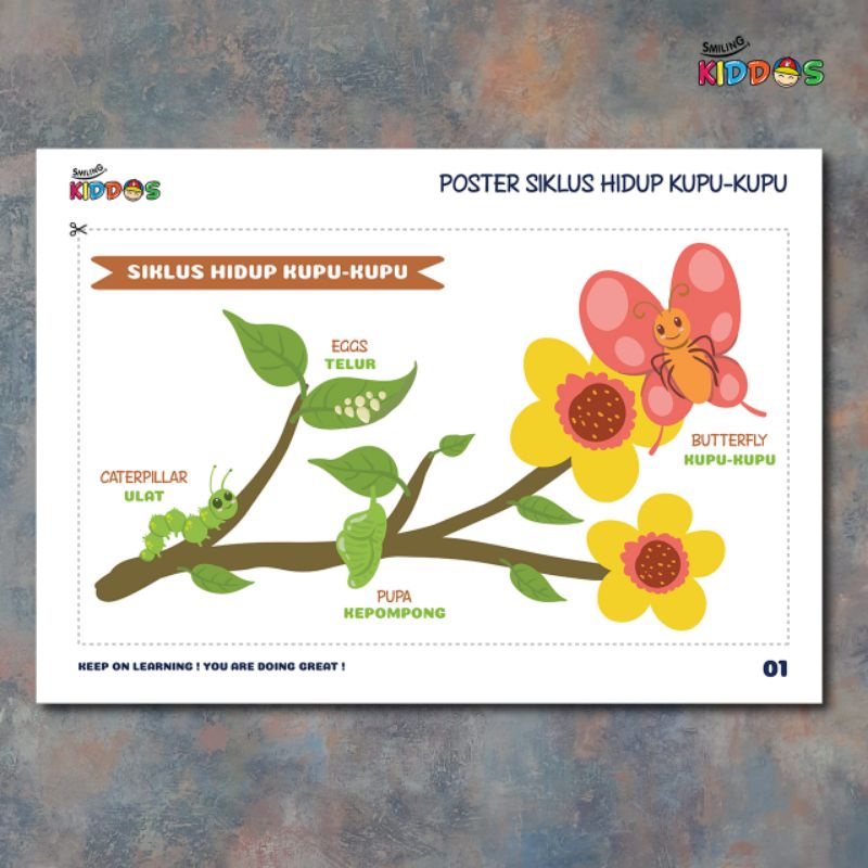 Jual SK Worksheet Metamorfosis - Aktivitas gunting tempel life cycle ...