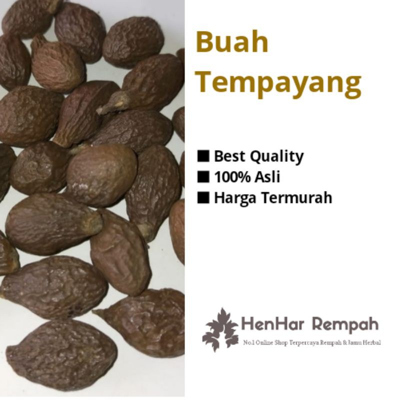 Jual Buah Tempayang / Buah kembang semangkok / Beng ta hai 100 gram ...