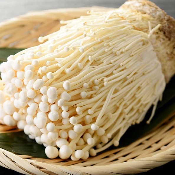 Jual Jamur Enoki pack | Shopee Indonesia
