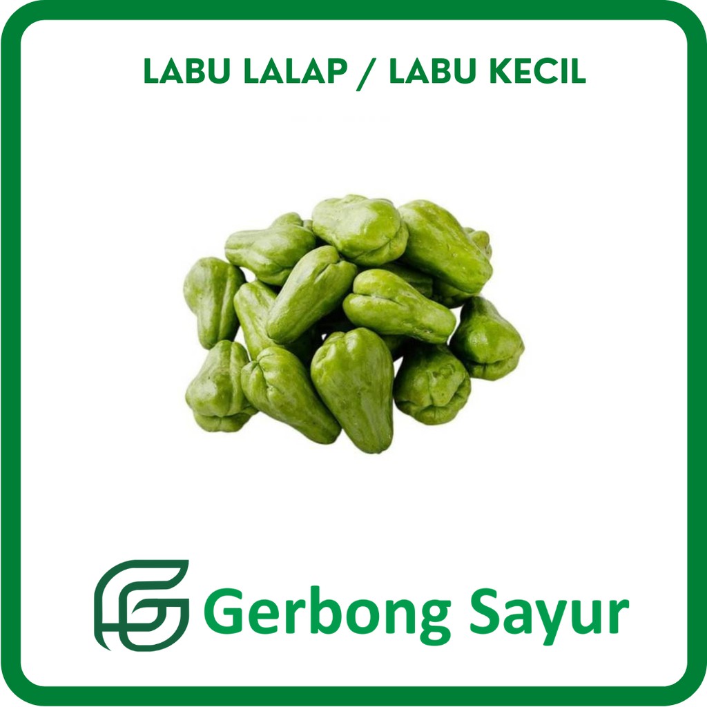Jual Labu Siam - Labu Lalap - 500g | Shopee Indonesia
