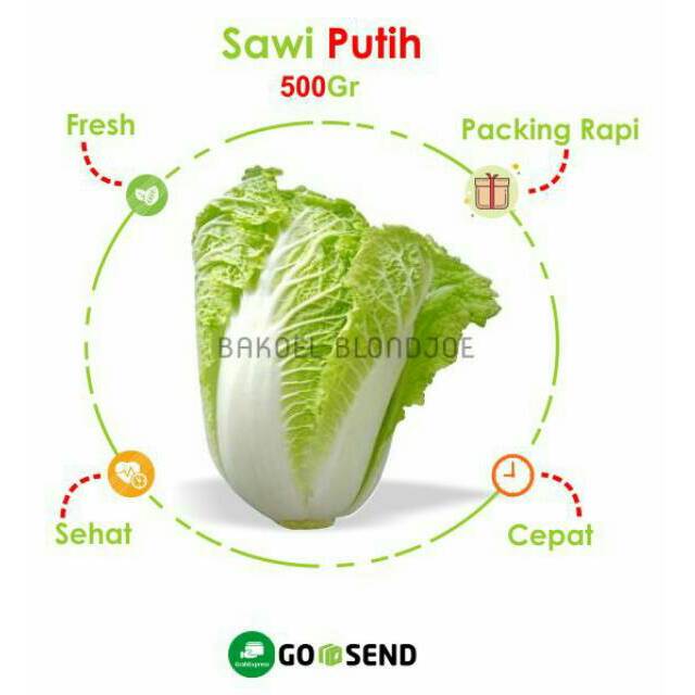 Jual SAWI PUTIH / SAWI / CHINESE CABBAGE / FRESH VEGETABLES / VEGETABLE ...