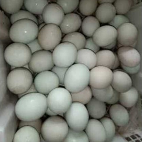 Jual PASAR ONLINE MURAH - TELOR BEBEK MENTAH / TELUR BEBEK 5pcs ...