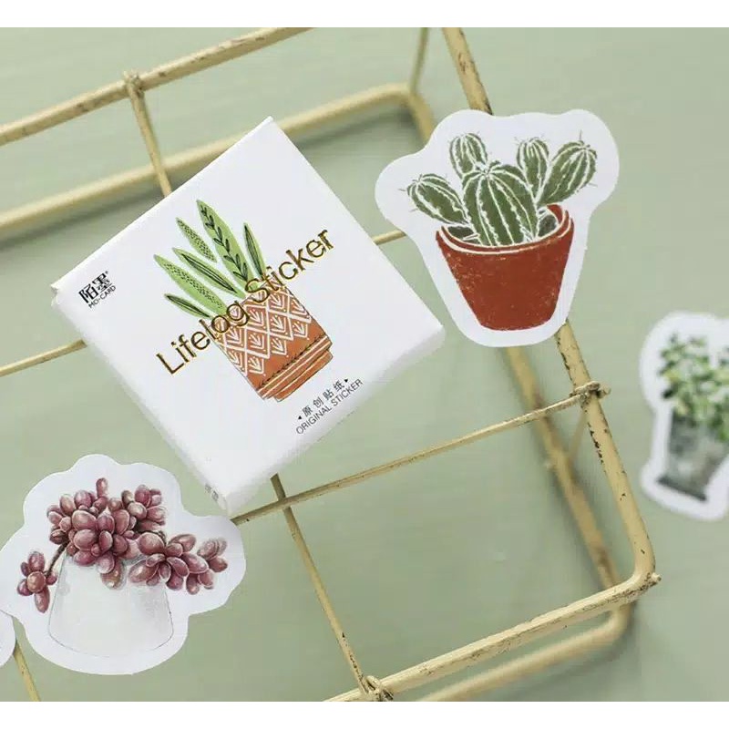 Jual Stiker Kaktus Cactus Sticker kaktus tanaman plant stiker lucu cute ...