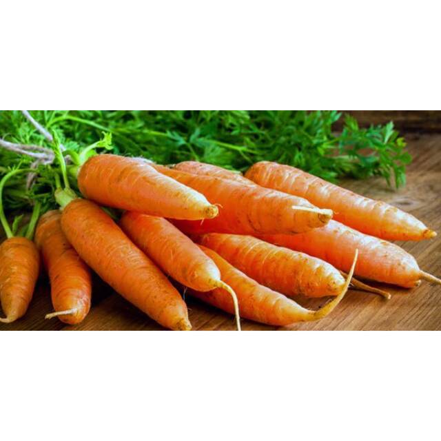 Jual Bibit benih wortel NEW NANTES CARROT Ta fung 2 gr ratusan biji ...