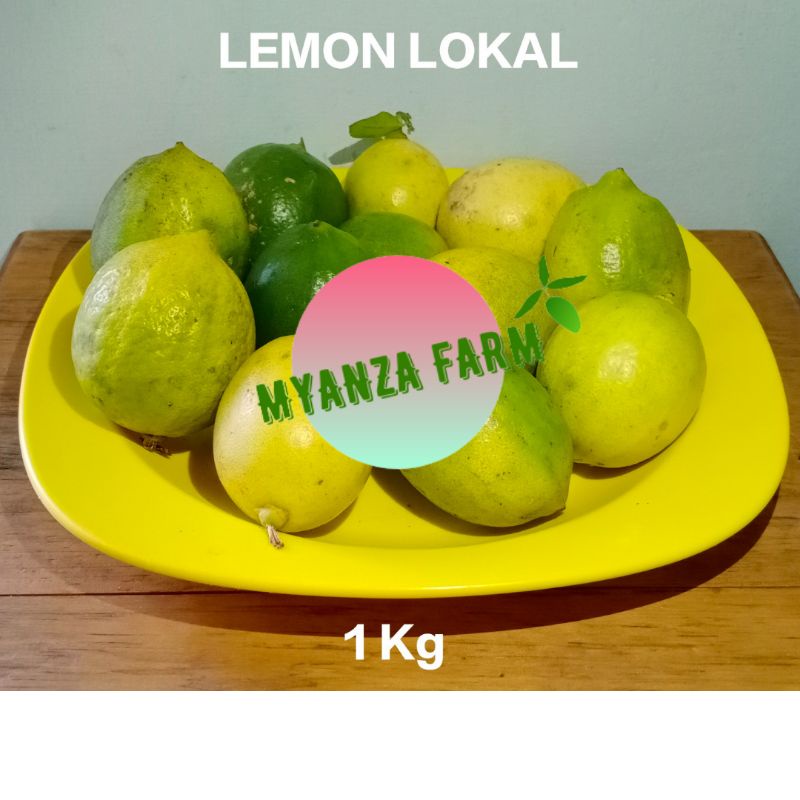 Jual JERUK LEMON LOKAL MURAH - 1 KG | Shopee Indonesia
