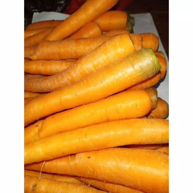 Jual Wortel lokal 1kg | Shopee Indonesia