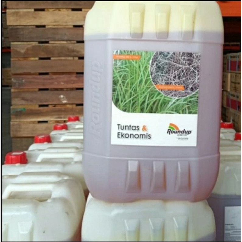 Jual HERBISIDA ROUNDUP 486SL 20 LITER | Shopee Indonesia