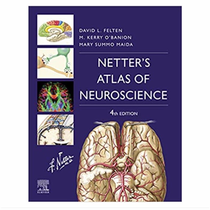 Jual Netter's Atlas of Neuroscience Fourth Edition by David L Felten ...