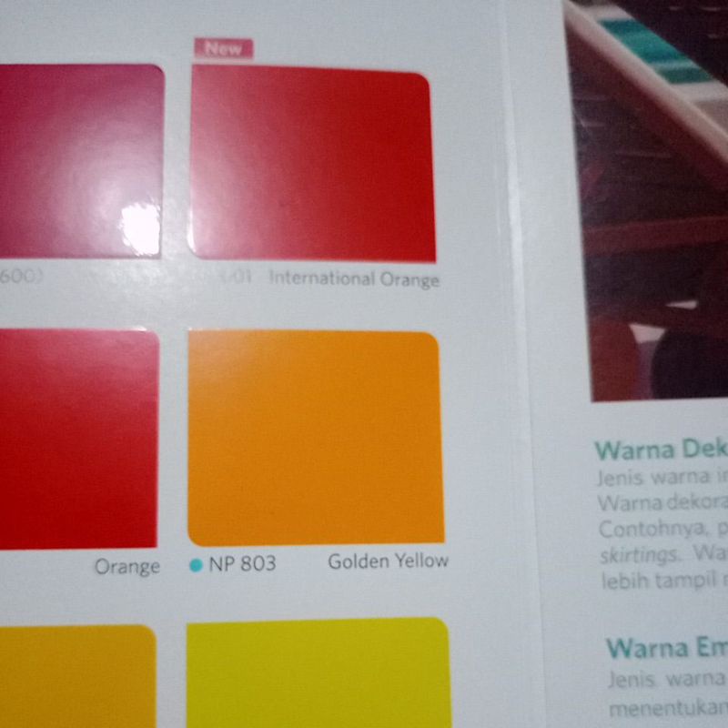 Jual Cat Kayu dan Besi Nippon Paint Platone 8000 1 | Shopee Indonesia