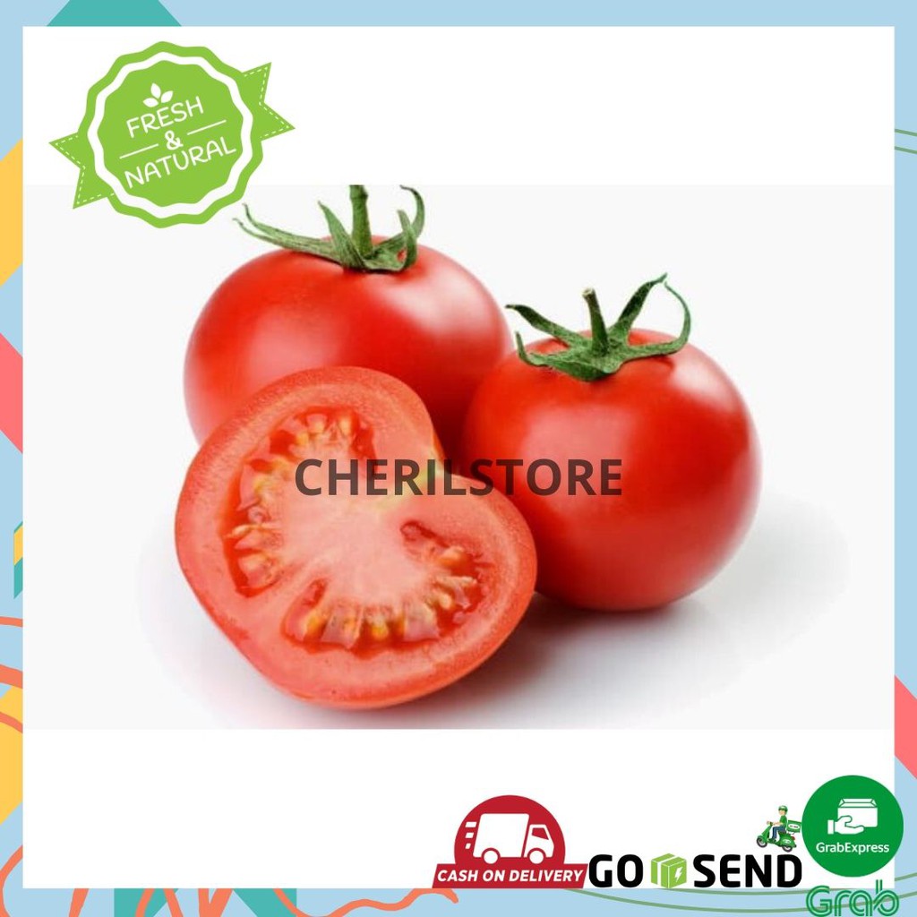 Jual TOMAT / TOMATO BUAH SAYURAN SEGAR BUMBU DAPUR | Shopee Indonesia