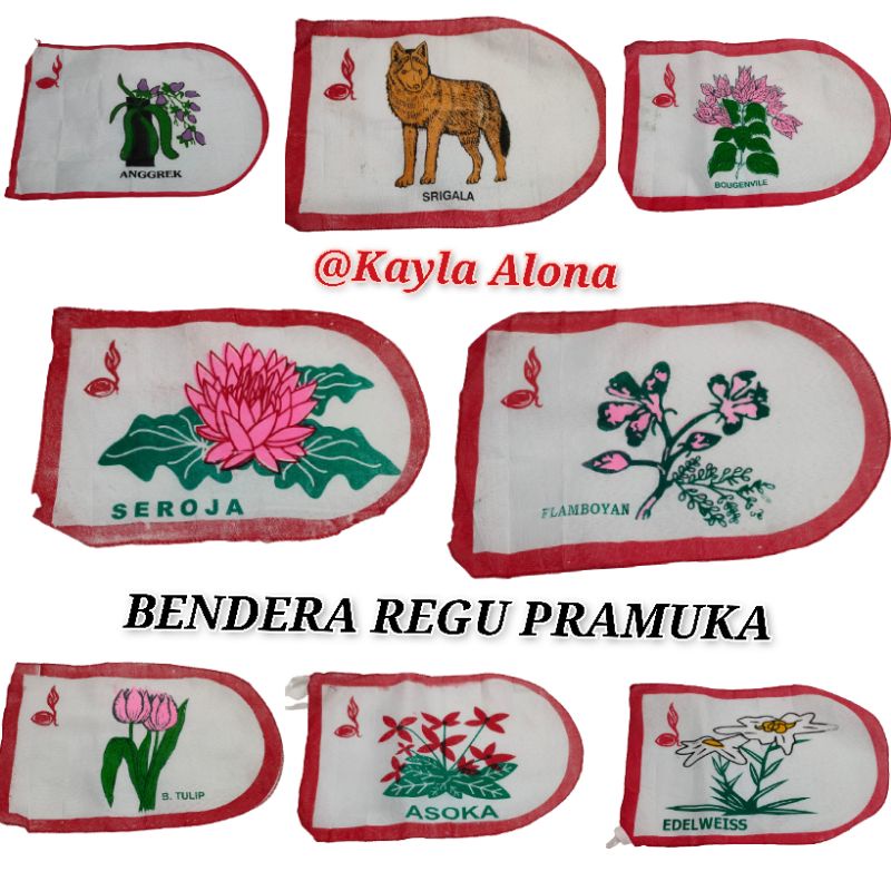 Jual BENDERA REGU PRAMUKA untuk PUTRI / BENDERA REGU BUNGA | Shopee ...