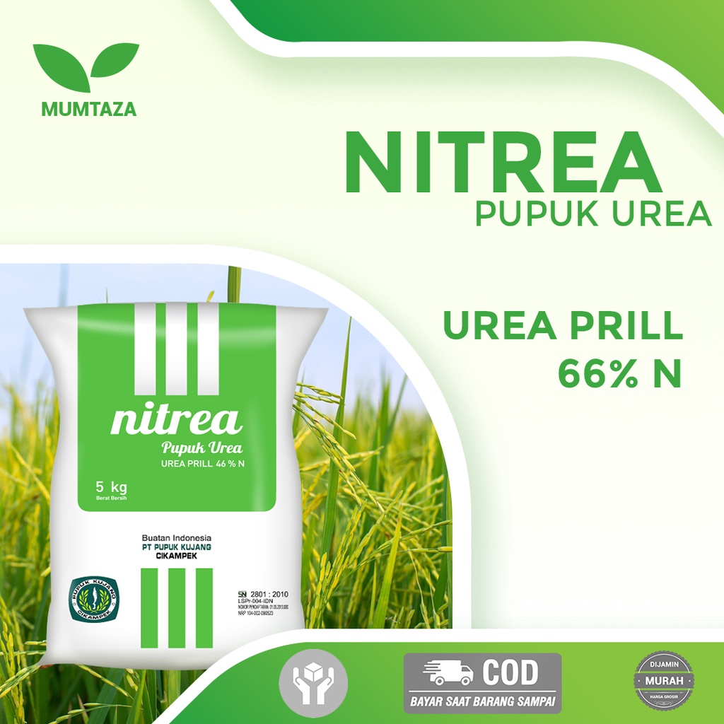 Jual Pupuk NITREA (UREA PUTIH) kemasan repack 500 gram || penyubur ...