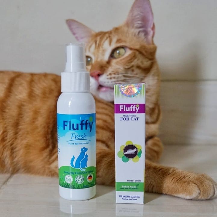 Jual MEMBASMI TUNGAU KUCING AMPUH DENGAN FLUFFY TONIC 60ml | Shopee ...