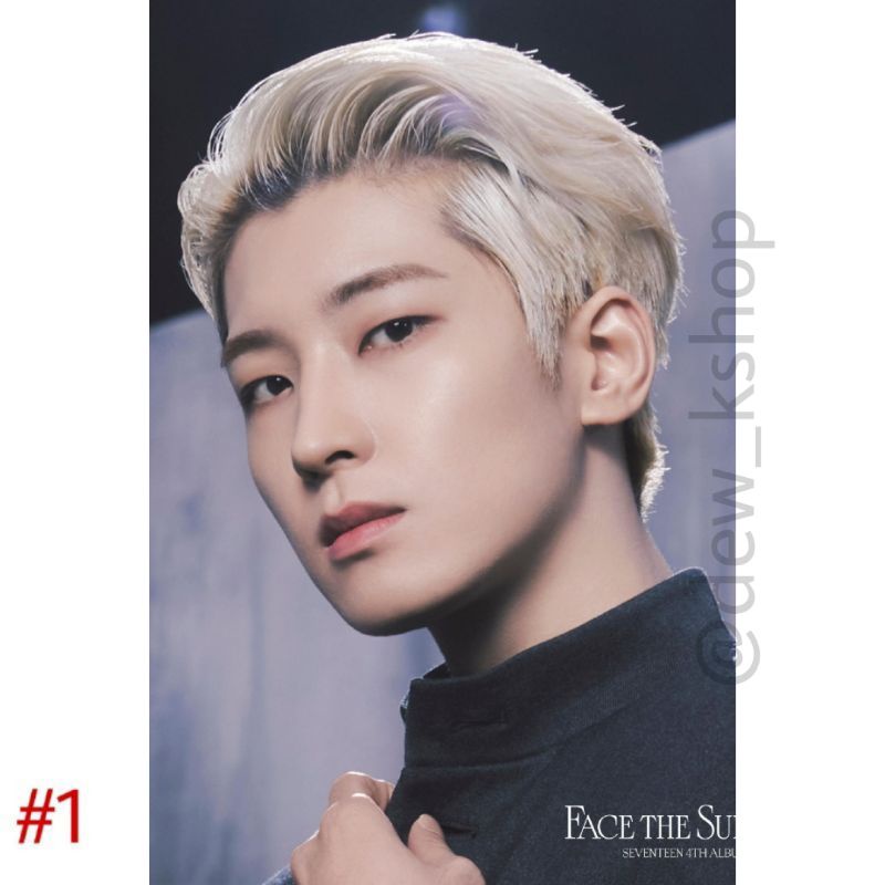 Jual POSTER SEVENTEEN (WONWOO) - 'Face the Sun' | Shopee Indonesia