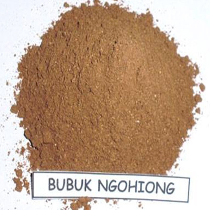 Jual BUBUK NGOHIONG 100 GR / BUMBU NGOHIONG NGO HIONG NGO HIANG ASLI ...
