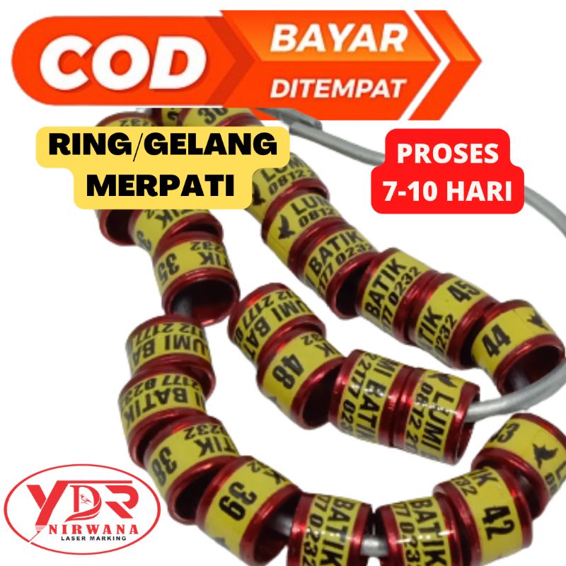 Jual RING MERPATI RING DARA MODEL RODA | Shopee Indonesia