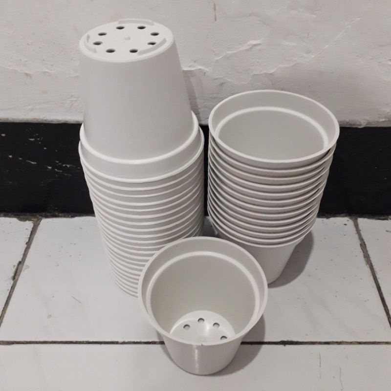 Jual Pot plastik putih diameter 8cm/ Pot kaktus dan sukulen/ Pot bibit ...