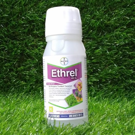 Jual ETHREL 480 SL 100 ML ZPT PEMATANG BUAH NAGA PISANG PEPAYA Dan Lain ...
