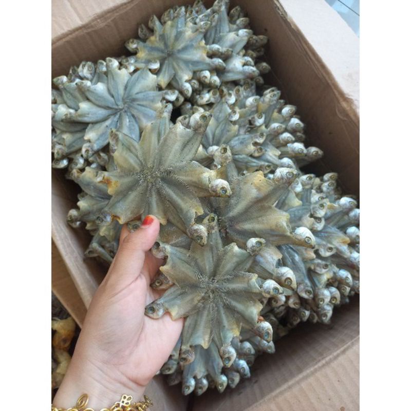 Jual Sapat Bintang hambar khas banjar 1kg | Shopee Indonesia