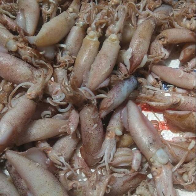 Jual Cumi Telor | Shopee Indonesia