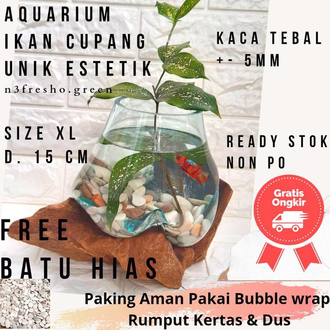 Jual Aquarium Ikan Cupang Kaca Aquascape Terrarium Glass Akar Kayu Unik ...