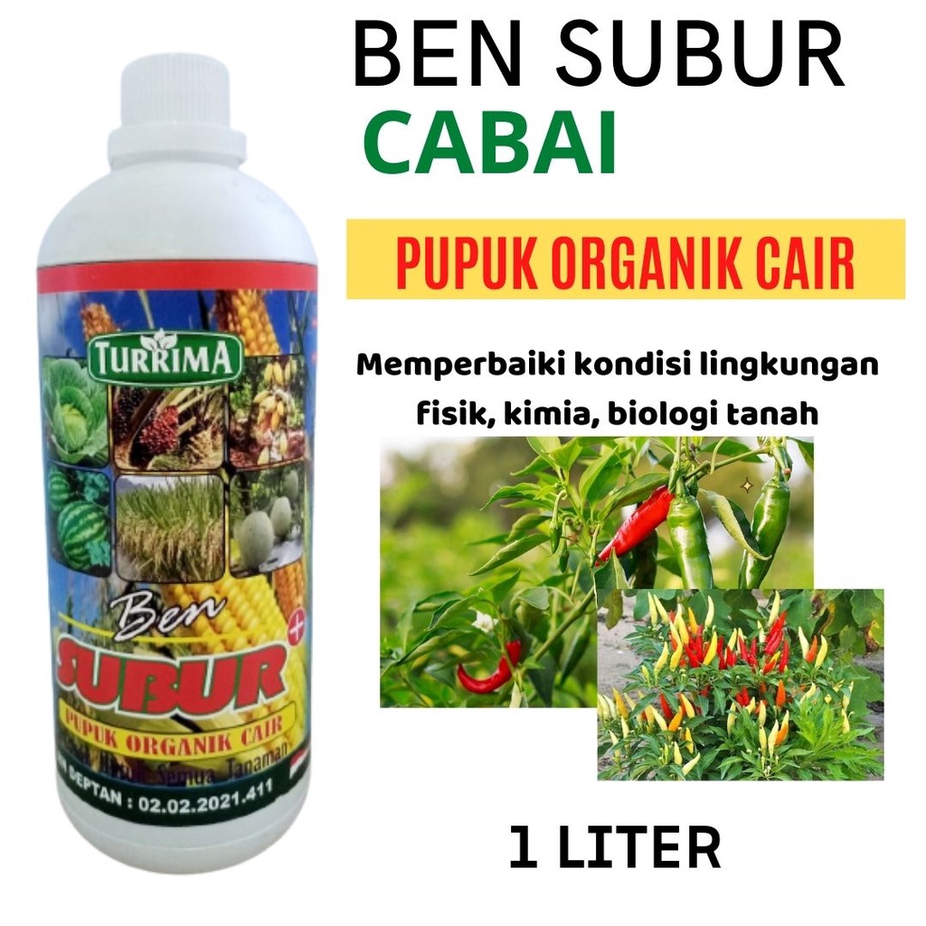 Jual Pupuk Penyubur Dan Pelebat Buah Cabai, Pupuk Cabai Rawit Ben Subur 1 L | Shopee Indonesia