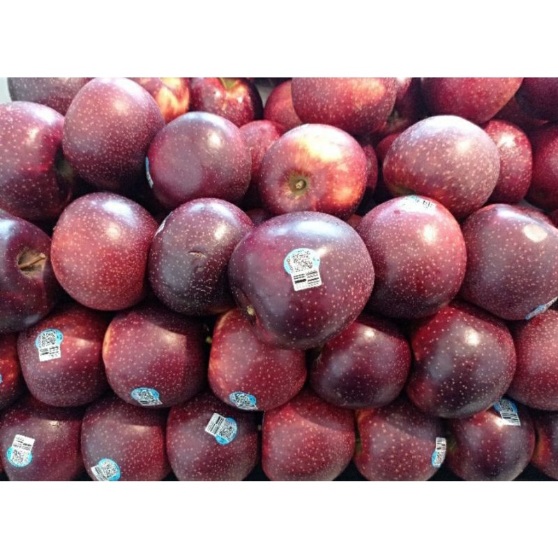 Jual Apel red Bravo Australia manis & garing | 1 kg | Shopee Indonesia