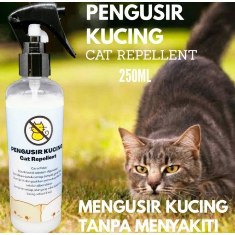 Jual Pengusir Kucing Anti Kucing Cat Repellent Spray | Shopee Indonesia